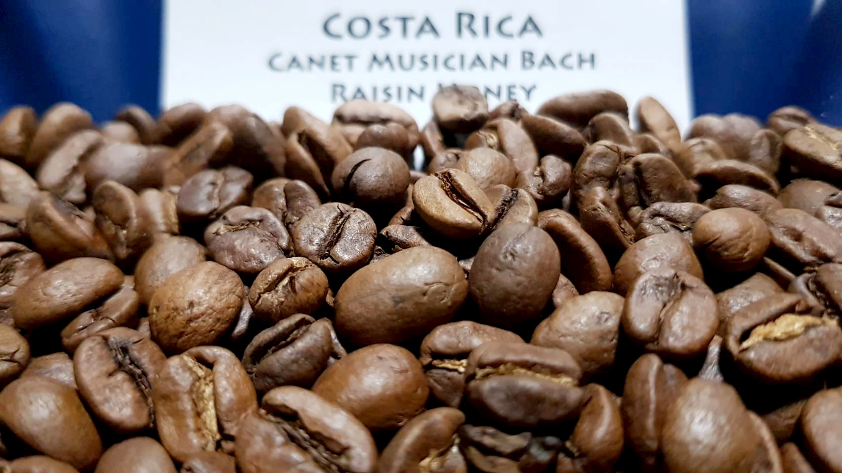 เมล็ดกาแฟคอสตาริก้า Costa Rica Canet Musician Bach | MISTER LEE'S