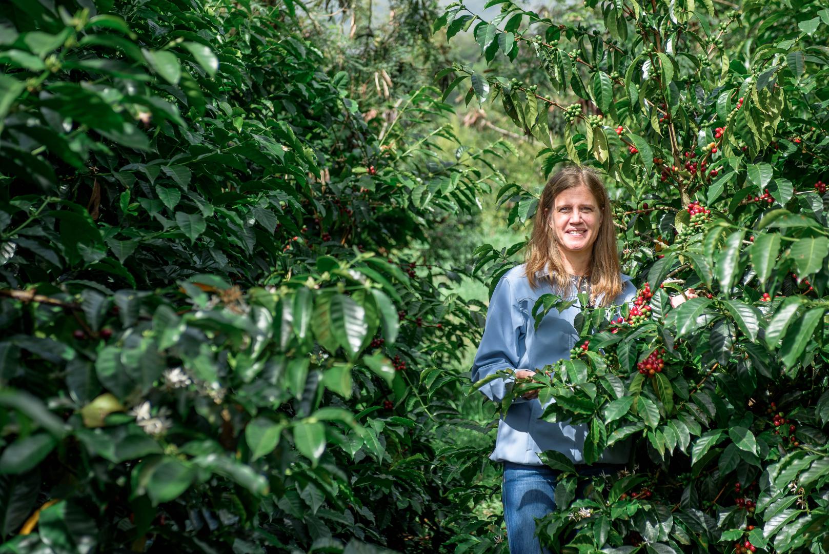 Panama Geisha Esmeralda Special - Jaramillo | MISTER LEE'S